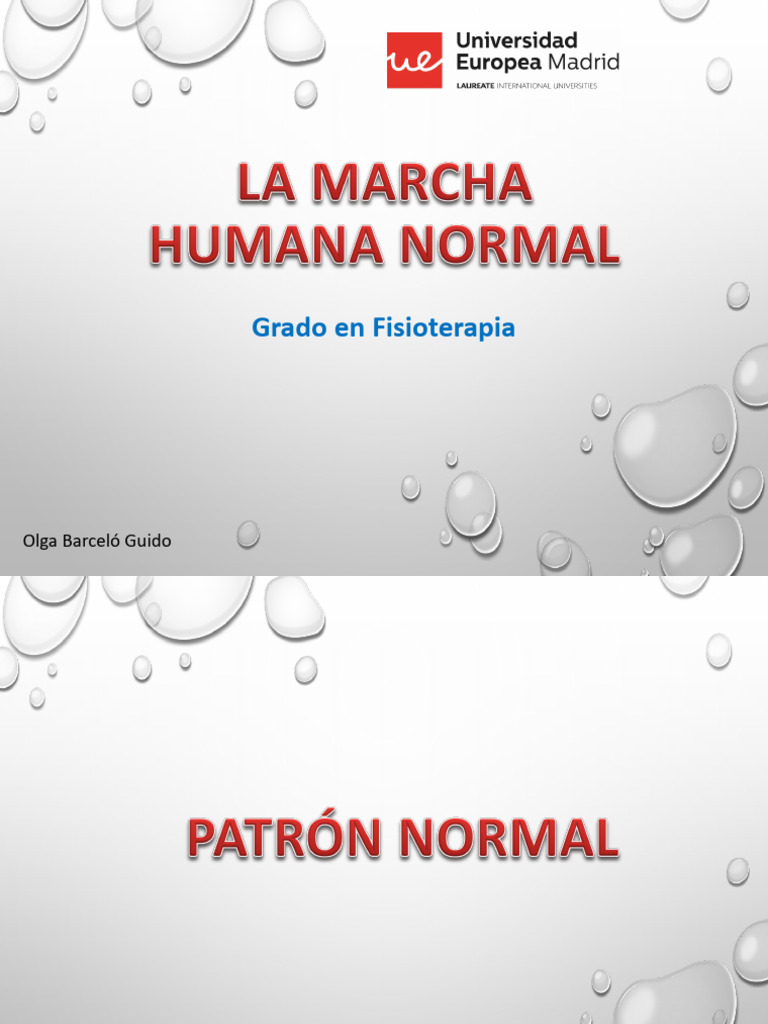 Marcha+Normal 2 | PDF | Tobillo | Rodilla