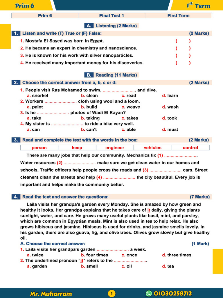 Prim 6 - Final Tests | PDF