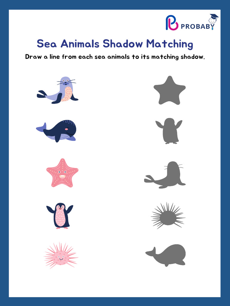 Draw A Line From Each Sea Animals To Its Matching Shadow | PDF