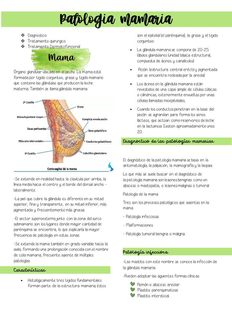 Patologia Mamaria | PDF | Pecho | Cáncer de mama