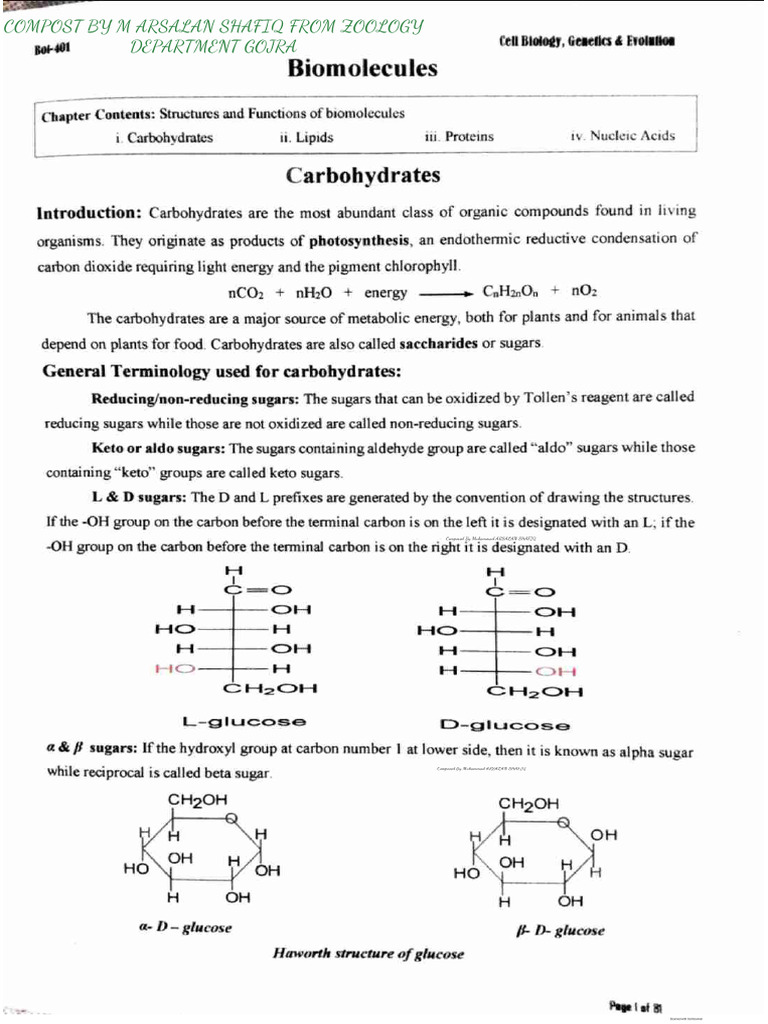 Cell Biology Genetics & Evolution | PDF