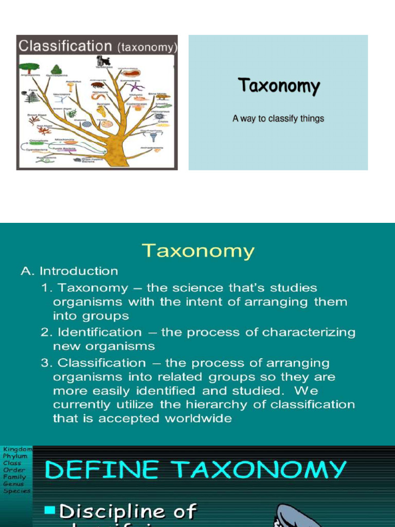 Lecture No.1. What Is Taxonomy. An Introduction and Different Concepts ...