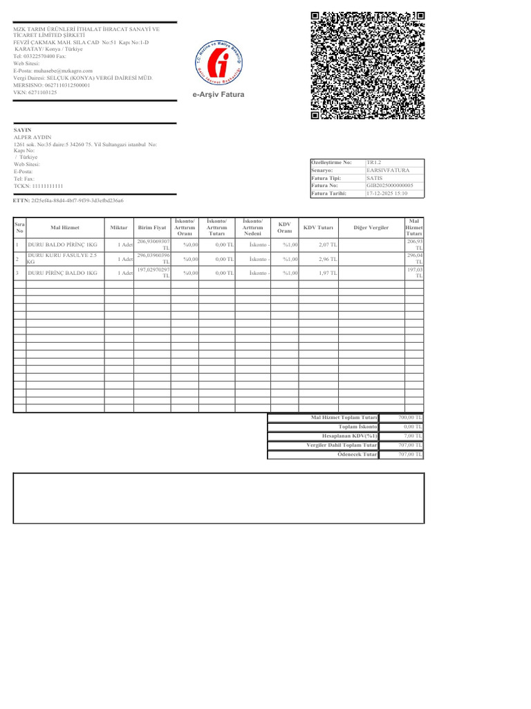 E-Arşiv Fatura | PDF