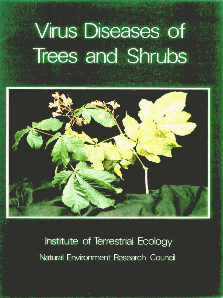 Virus Diseases of Trees and Shrub | PDF | Grafting | Virus
