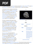Anatomy of the Triangular Space | PDF