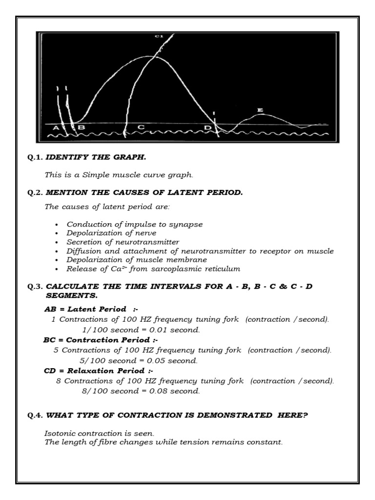 4.skeletal Graph | PDF | Muscle Contraction | Skeletal Muscle