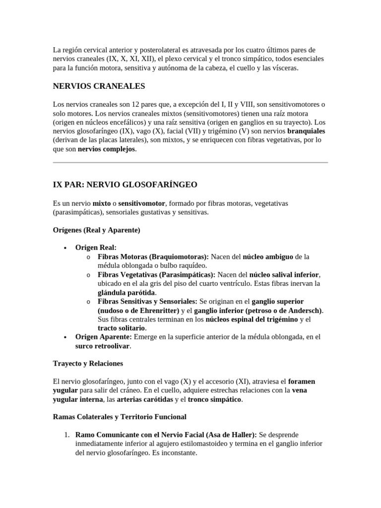 Cuatro Últimos Pares de Nervios Craneales | PDF | Nervio vago | Cabeza ...