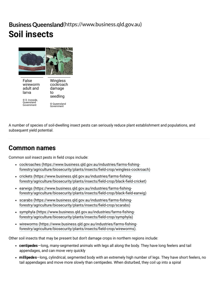 Soil Insects - Business Queensland | PDF | Insects | Crop Rotation
