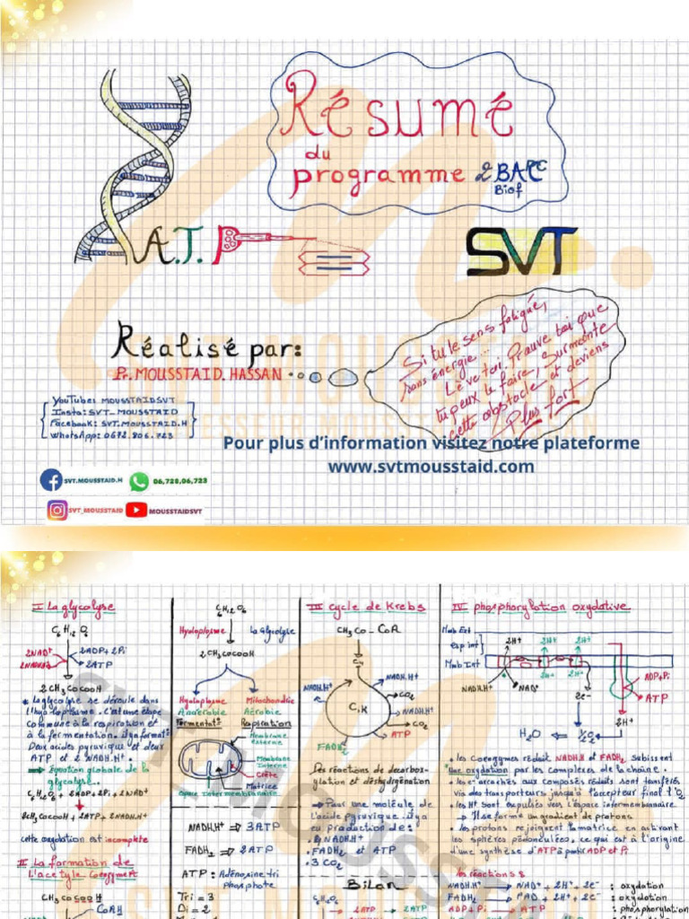 Resumé Général ( SVT ) | PDF