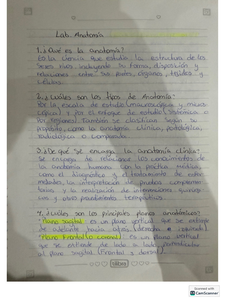 Lab. Fund. Anatomía | PDF