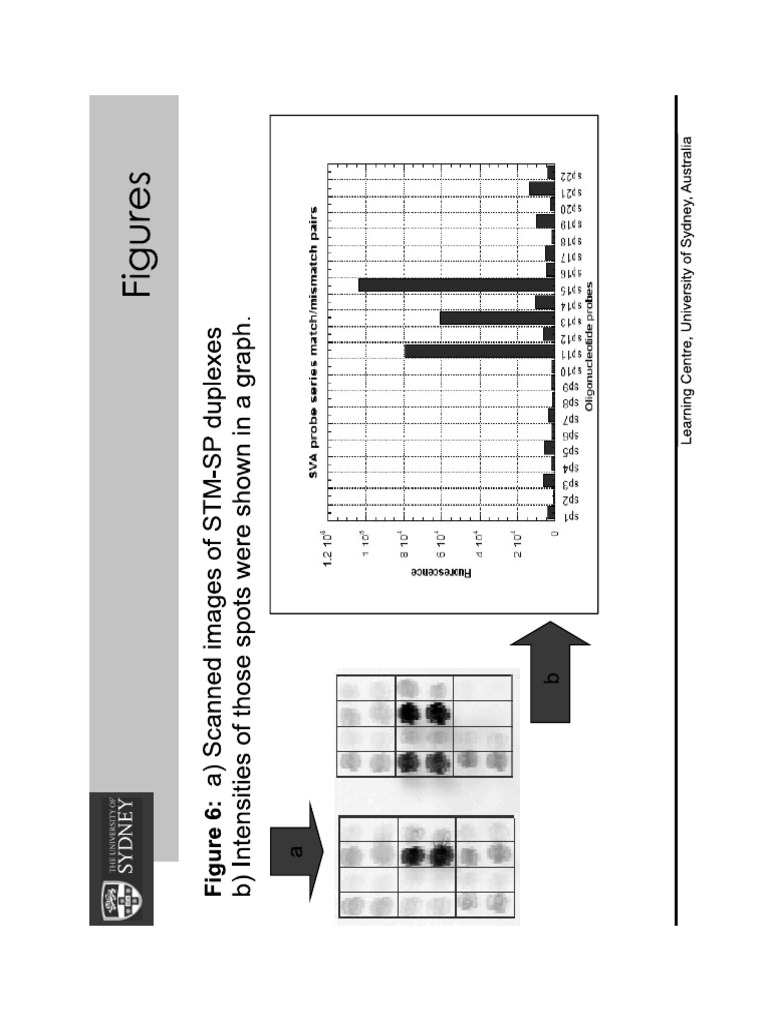 Oral Presentations p3 | PDF
