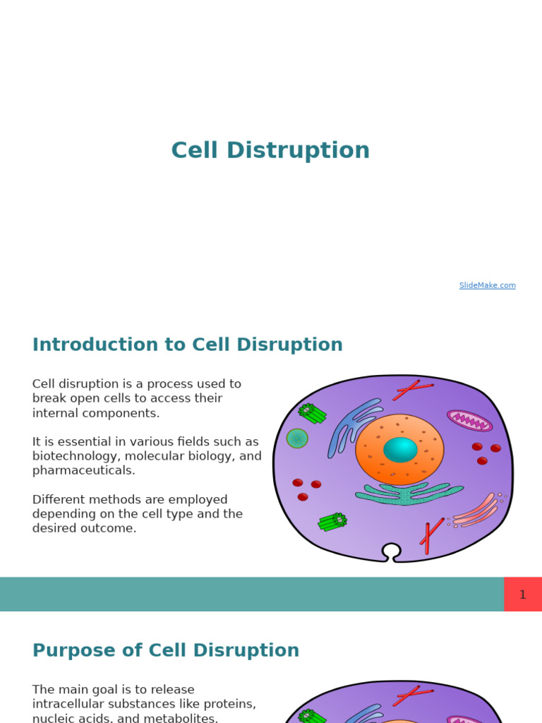 Cell Disruption Techniques Explained | PDF | Lysis | Biotechnology
