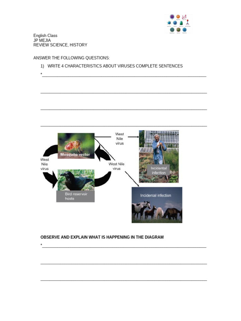 Virus Life Cycle and Civilization Review | PDF