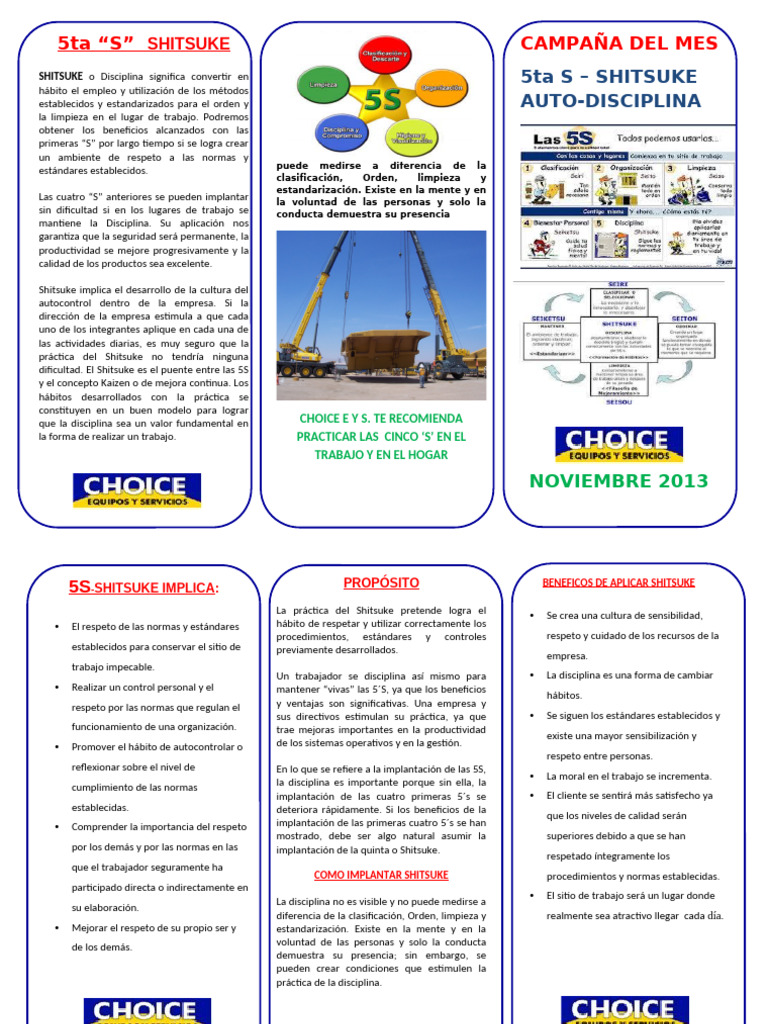 Shitsuke: Disciplina en las 5S Empresariales | PDF
