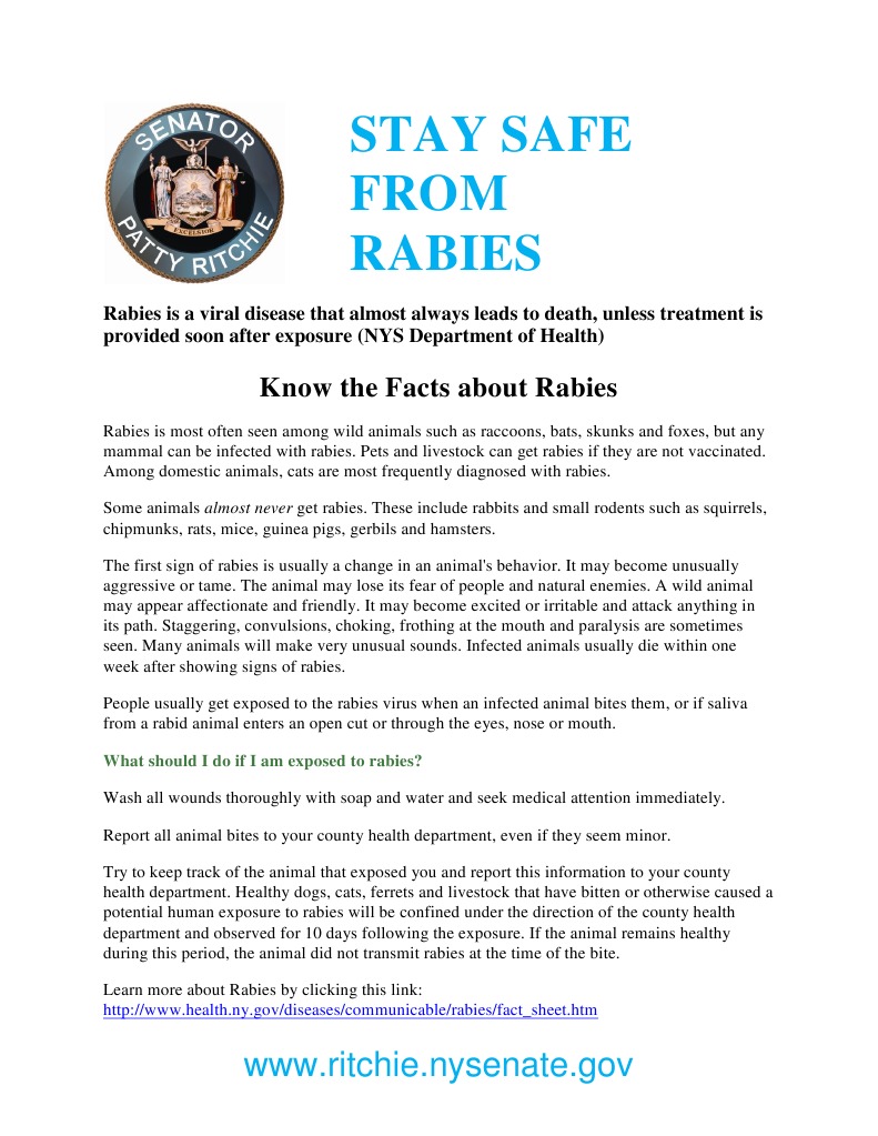 Facts About Rabies | PDF