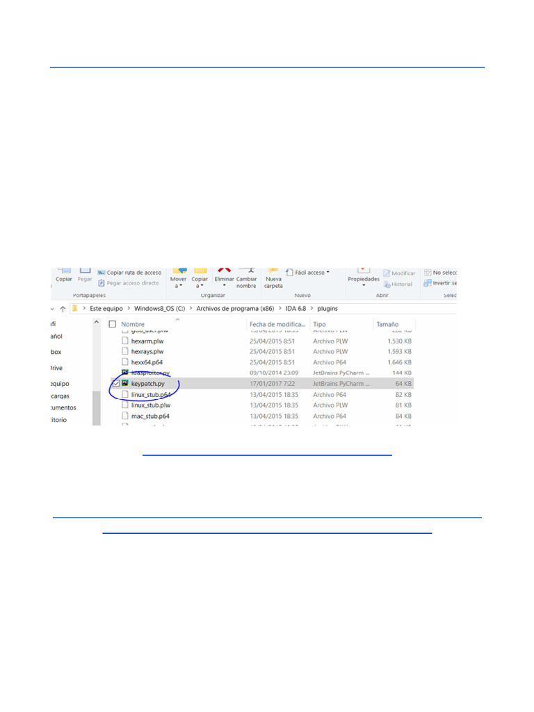 IDA Pro Reversing Exercise 41 Guide | PDF | Pointer (Computer ...