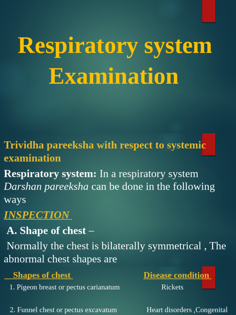 Respiratory Examination | PDF | Respiratory Diseases | Respiratory Tract
