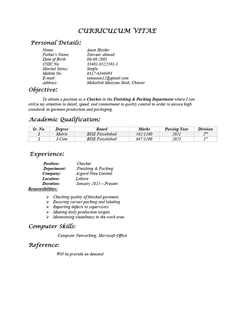 CV Aoun Haider | PDF