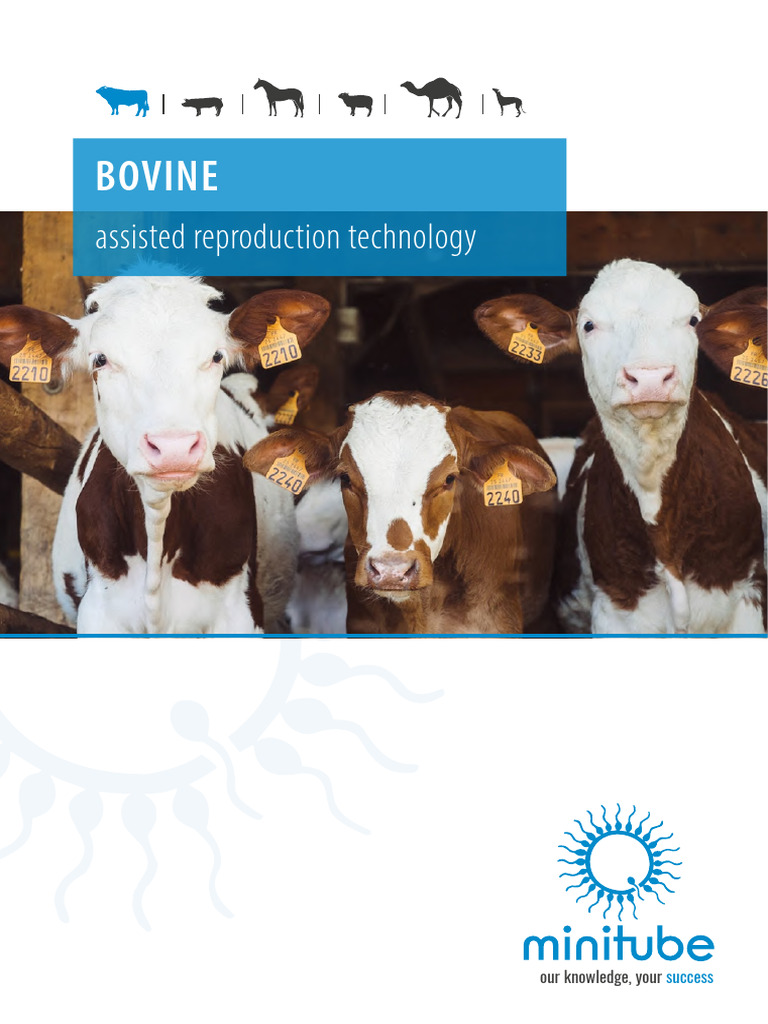 Bovine Assisted Reproduction Solutions | PDF | Radio Frequency ...