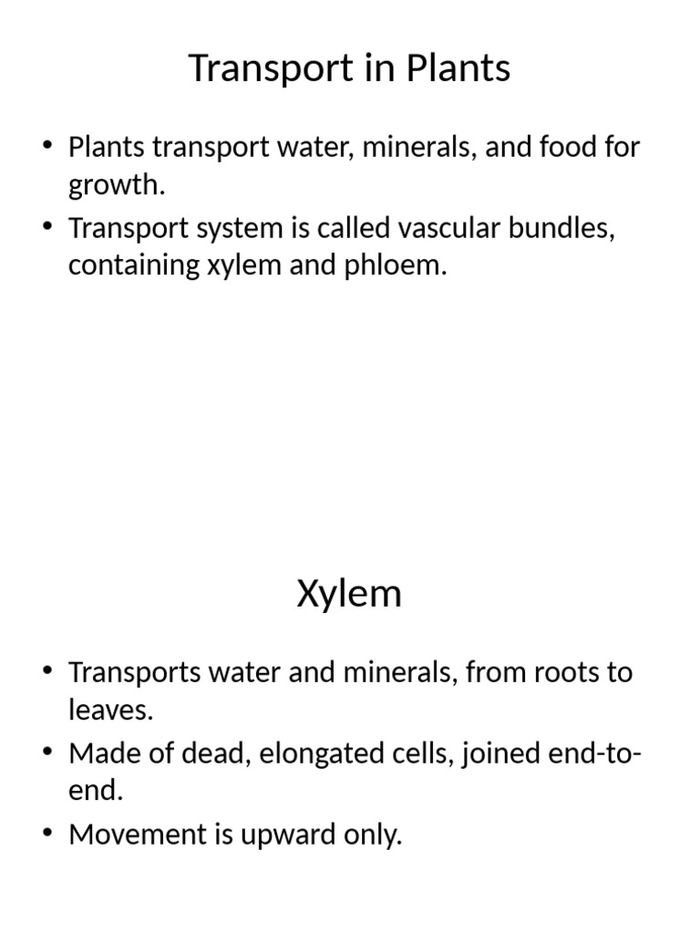 Transport in Plant | PDF