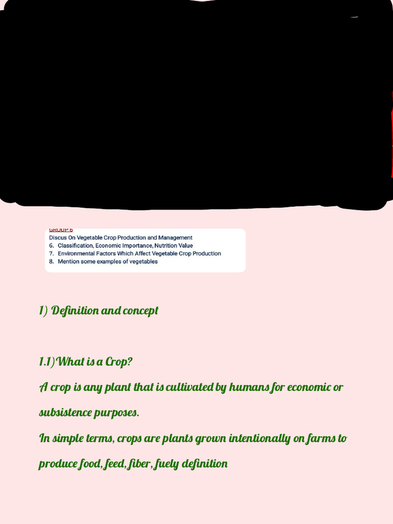Your Pre Preparation | PDF | Vegetables | Soil