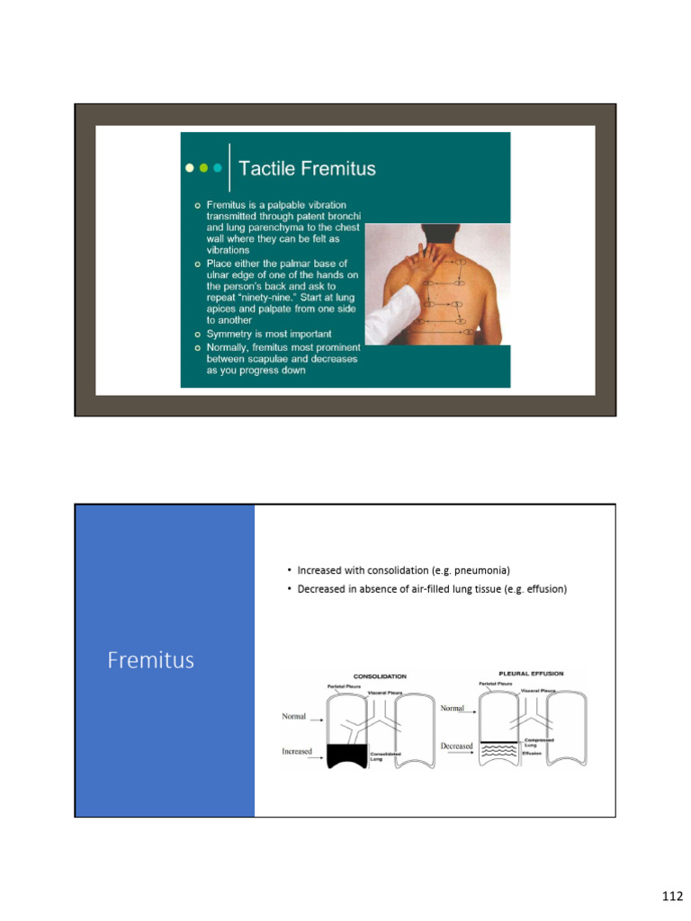 Fremitus Assessment | PDF | Lung | Respiratory Tract