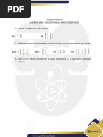 Taller Determinante de Matrices, Matrices Escalonadas Equivalentes y ...