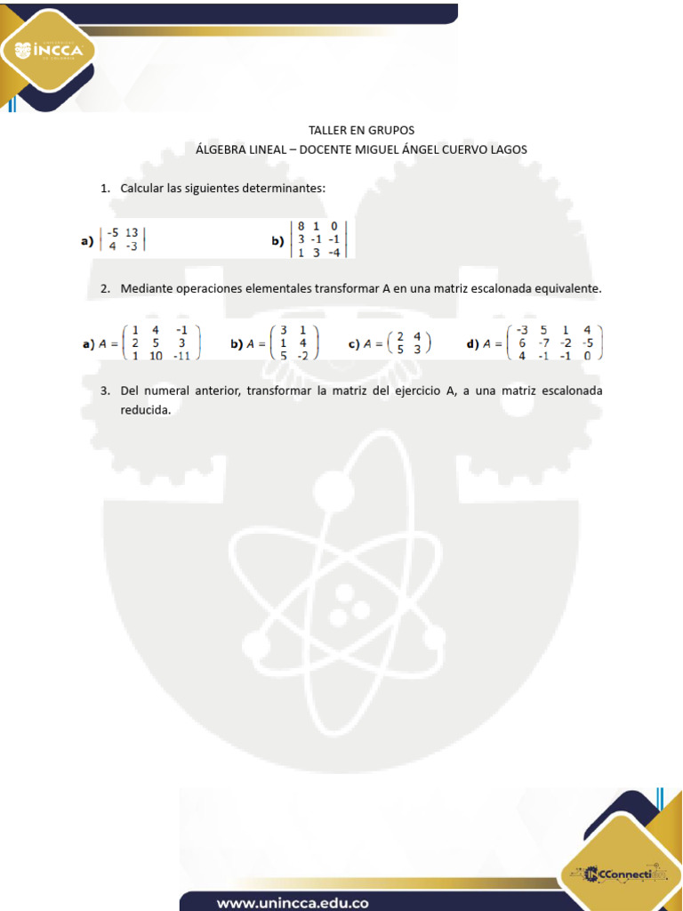 Taller de Matrices Escalonadas y Determinantes | PDF