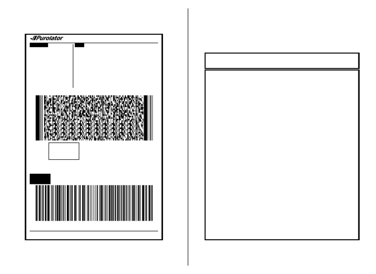 Purolator Label | PDF | Cargo | Bill Of Lading