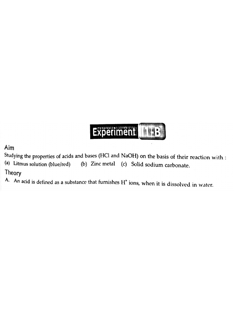 New Document | PDF