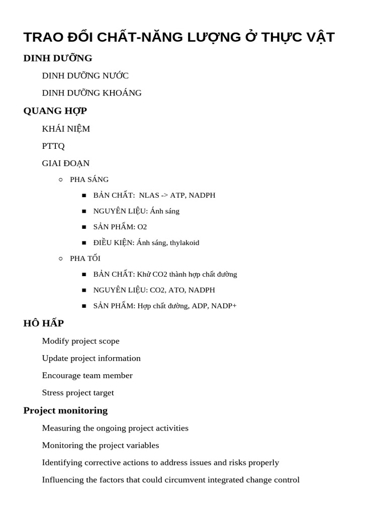 Project Management Process | PDF