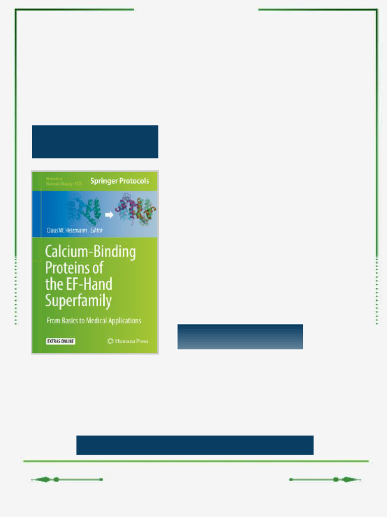 Calcium Binding Proteins of The EF Hand Superfamily From Basics To ...