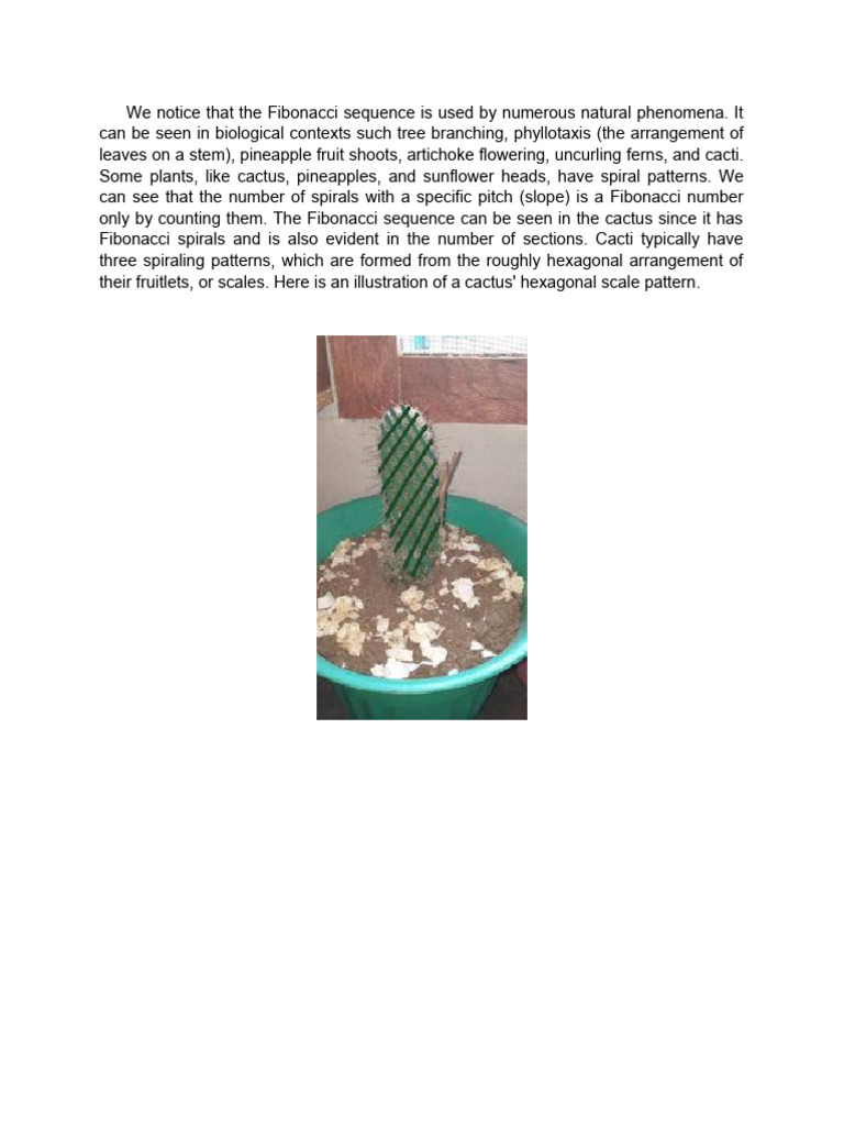 Fibonacci Sequence in Cactus Patterns | PDF