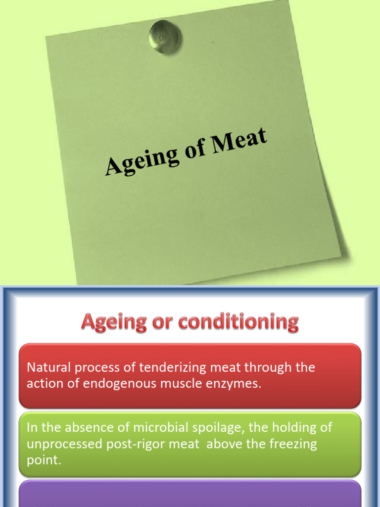 Understanding Meat Ageing Processes | PDF