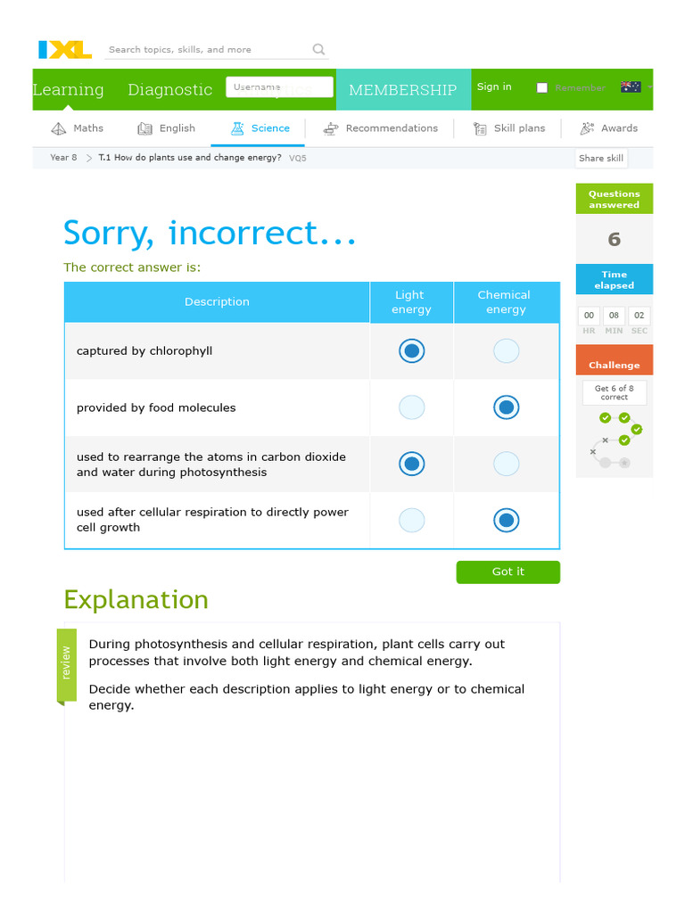 IXL - How Do Plants Use and Change Energy2 - (Year 8 Science Practice ...