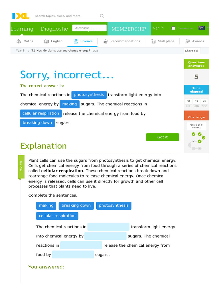 IXL - How Do Plants Use and Change Energy - (Year 8 Science Practice ...