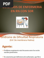 Escala Rass: Escala Richmond de Agitación y Sedación | PDF | Artes del ...