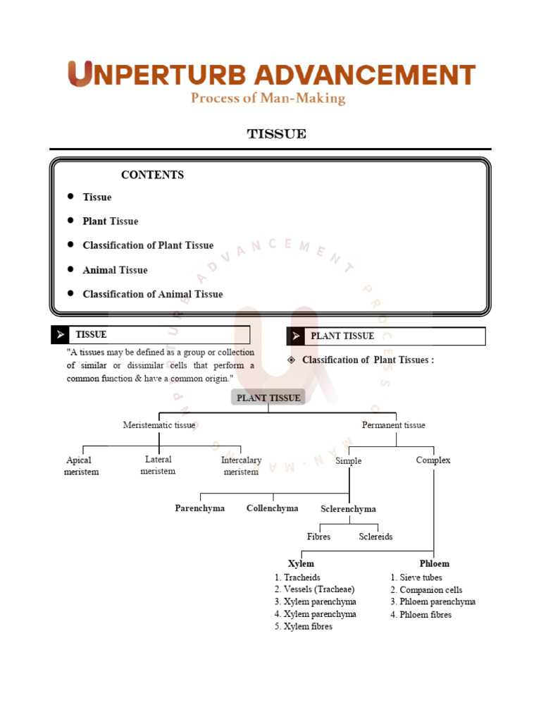 Tissues Clean | PDF | Tissue (Biology) | Epithelium