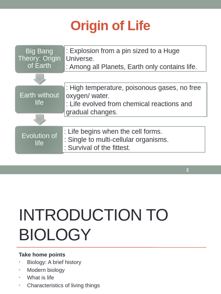 Understanding the Origin of Life and Biology | PDF | Biology | Life