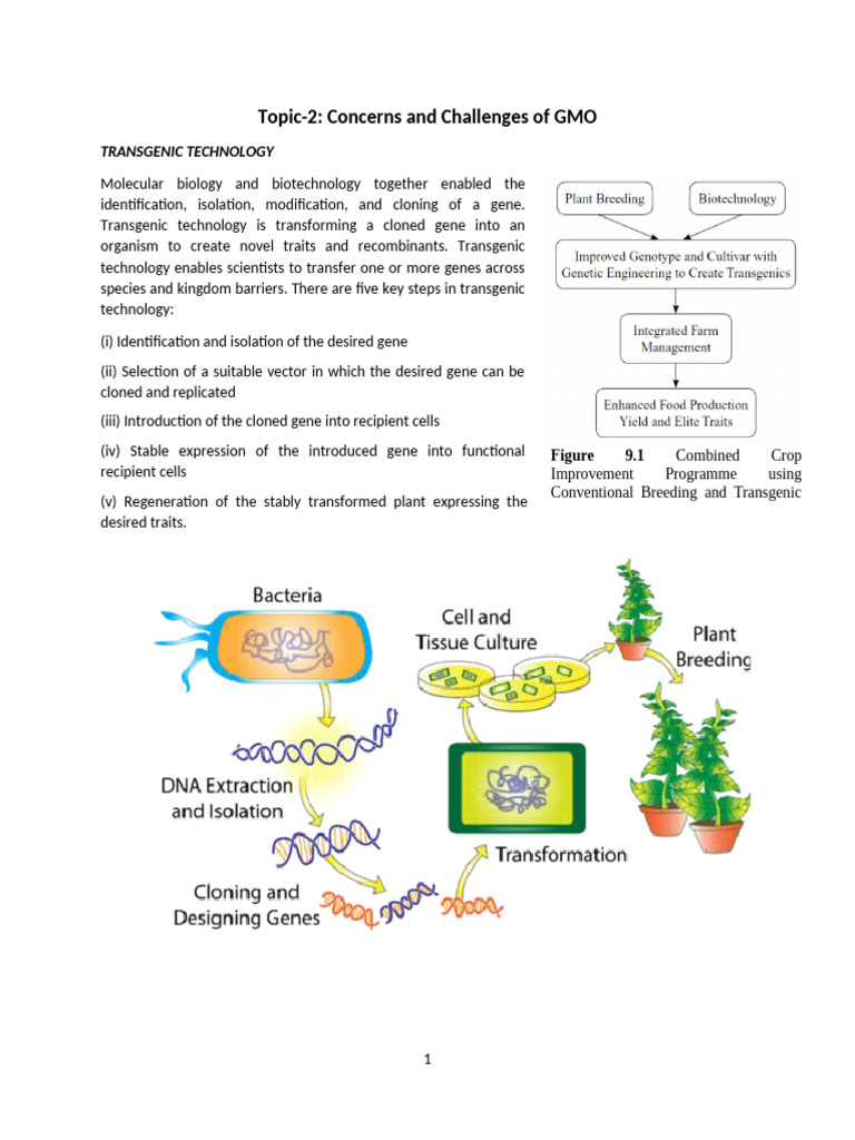GMO Concerns: Transgenic Technology Challenges | PDF | Genetically ...