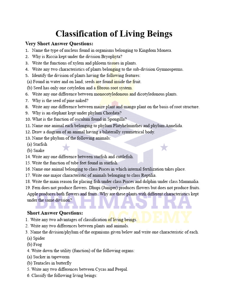 Classification of Living Organisms Explained | PDF