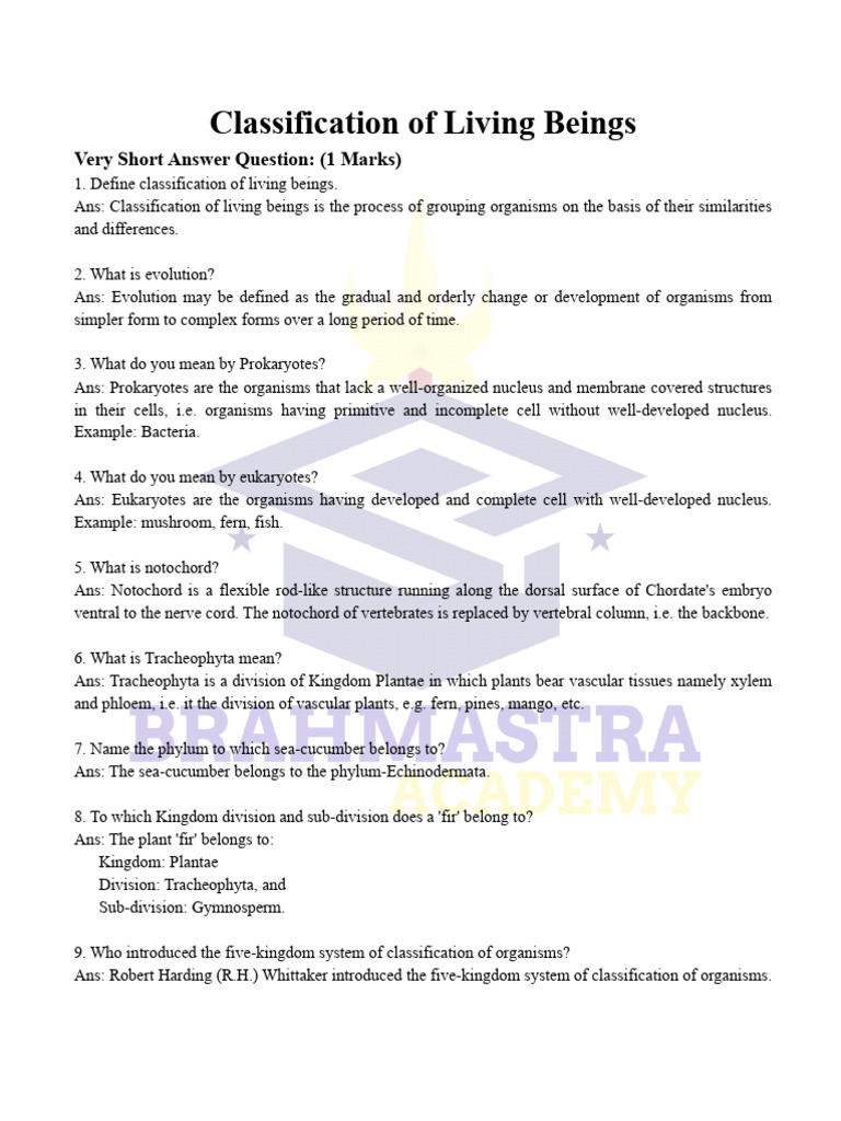 Classification of Living Beings 1, 2 Marks | PDF | Biology | Plants