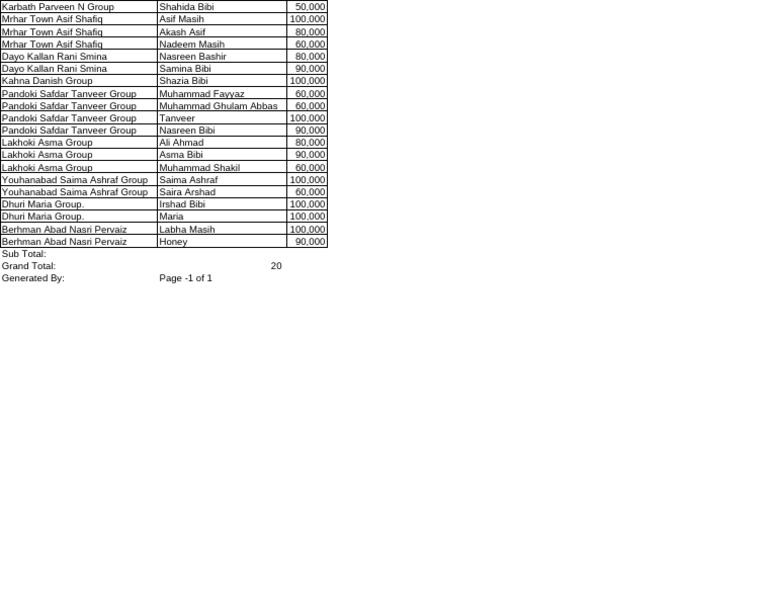 Group Contributions and Totals Summary | PDF