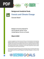 Deforestation: Key Questions Answered | PDF | Deforestation | Climate ...