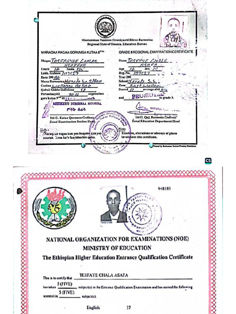 Tesfaye Chala With Experience | PDF