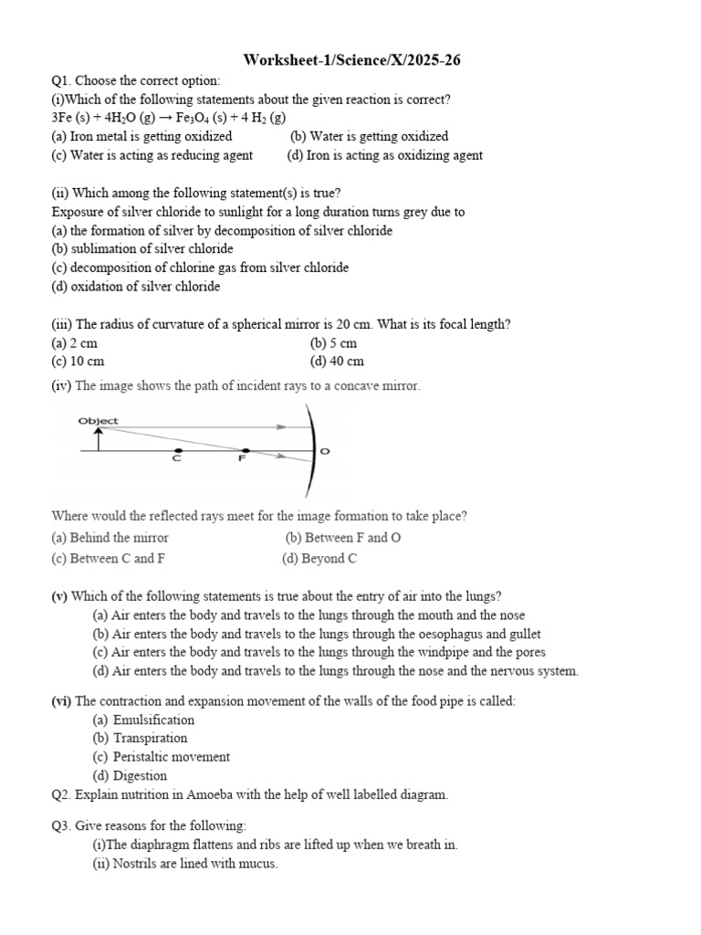 Class 10 Science Worksheet 1 | PDF | Applied And Interdisciplinary ...