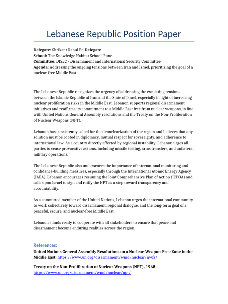 Lebanon Position Paper DISEC With Links | PDF
