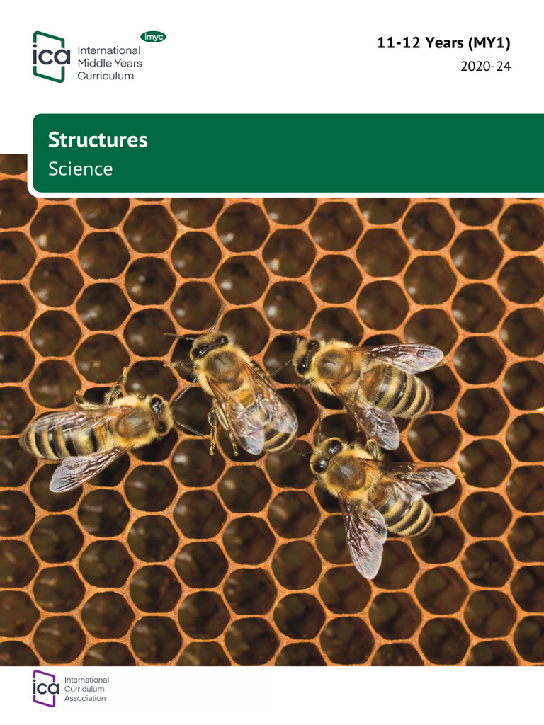 Engaging Entry Points for Science Learning | PDF | Mitosis | Biology