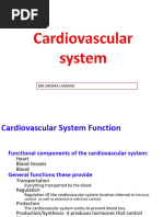 Human Heart Anatomy Overview | PDF | Heart | Heart Valve