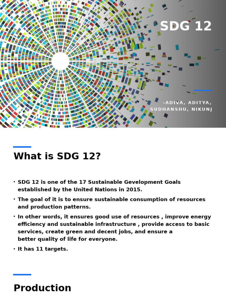 SDG 12 | PDF